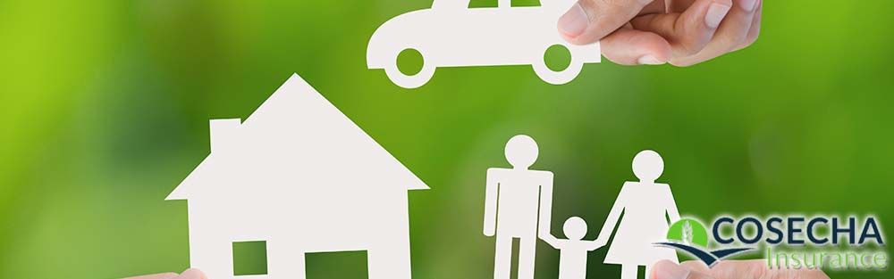 Cosecha Insurance - Consejos a tener en cuenta antes de comprar un ...